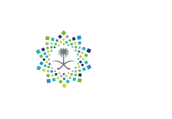 Neo Space Group - Vision 2030